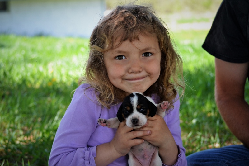 RiverBottom Beagles – Welcome to River Bottom Beagles. We hope you enjoy our site!