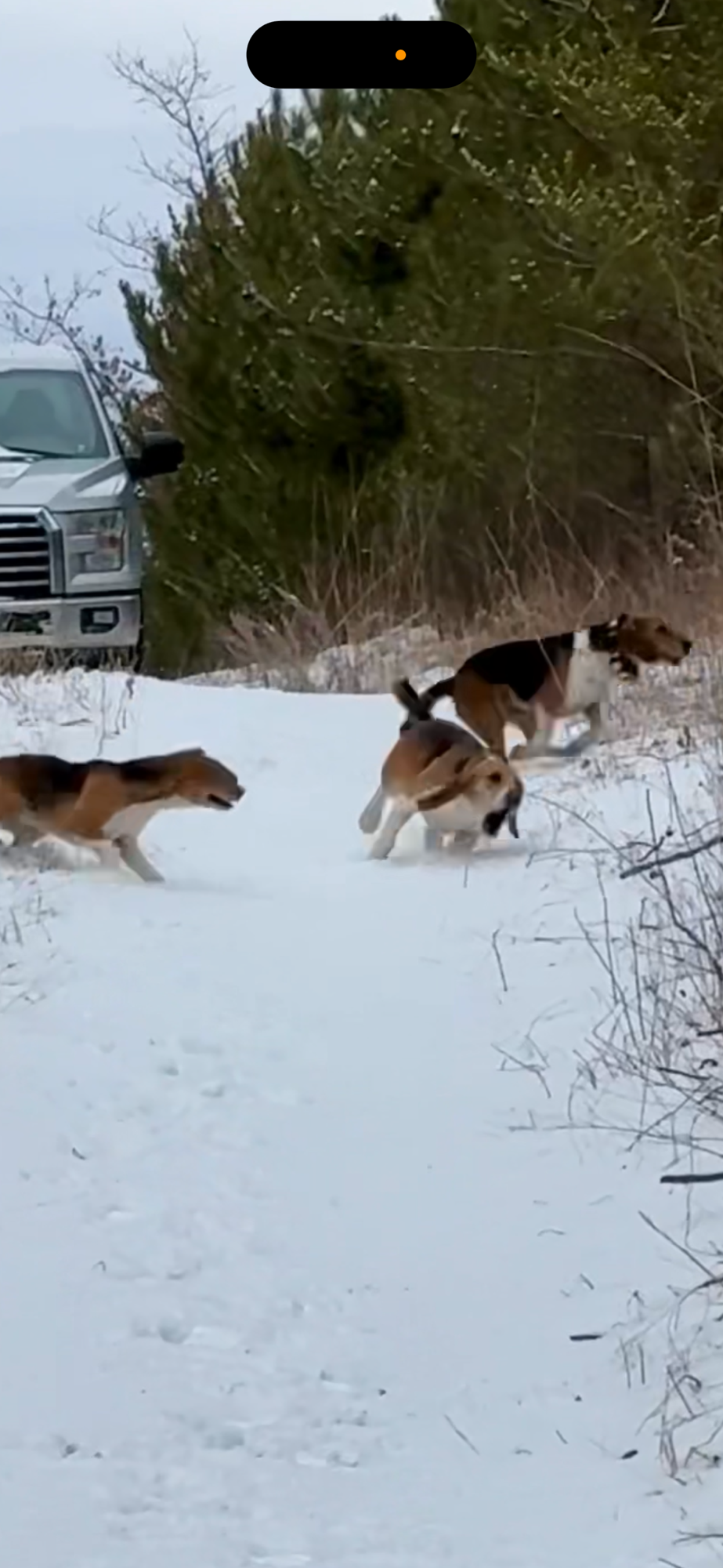 Kid, Luke and Ashley – RiverBottom Beagles
